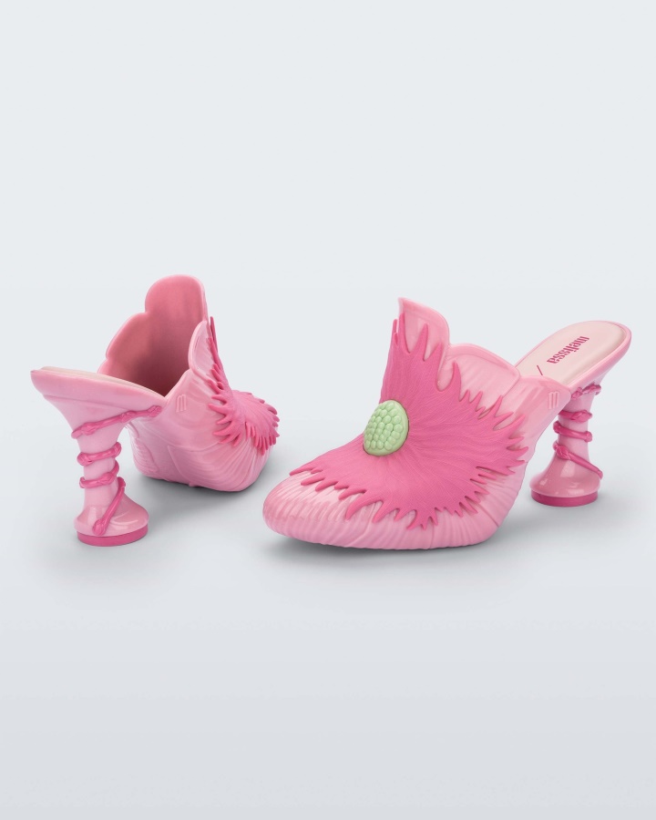 Toronjil Alegría Flor Thomas Benjamin Tacón Rosas [MELISMX372 ...